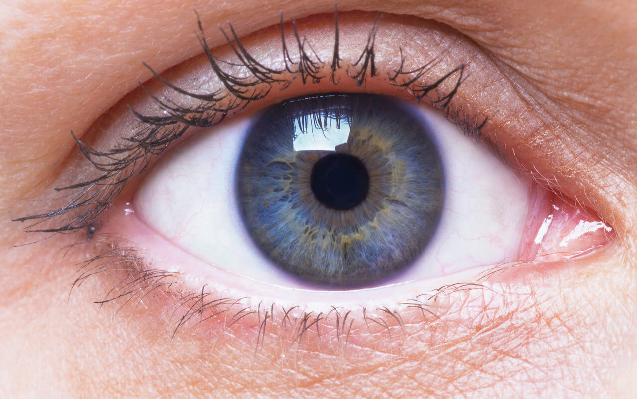 Eye Care Articles - Sharpstown Vision Center